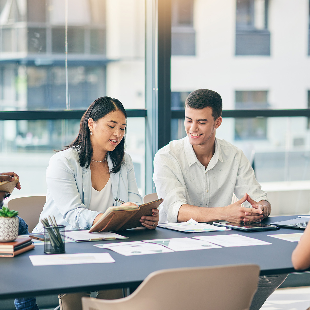 Site Analysis in Architecture | Studio Steinbomer